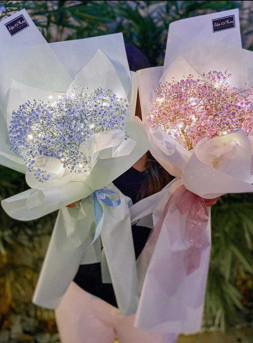 Gypsophila – lotusfleursph.com